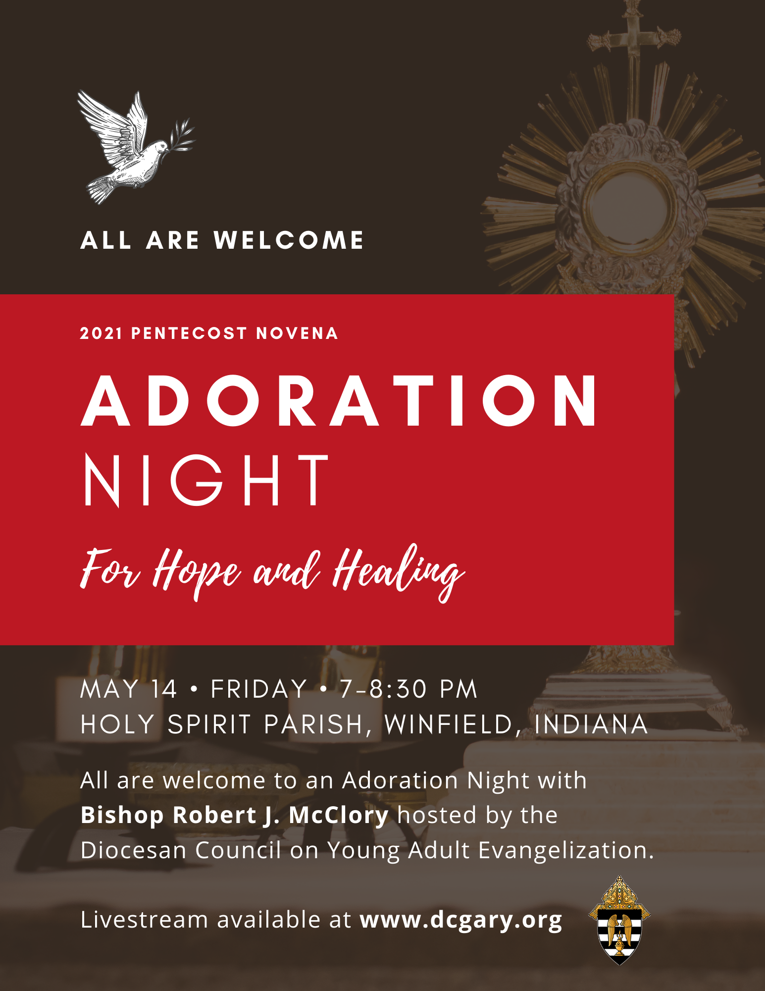 Adoration Night for Hope and Healing | Diocese of Gary